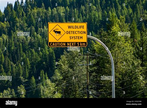 High Yellow Warning Road Sign Wildlife Detection System With Elk