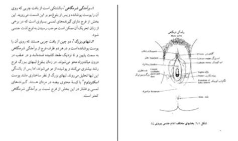 دانلود پی دی اف کتاب زندگی جنسی زنان محمد رضا نیکخو