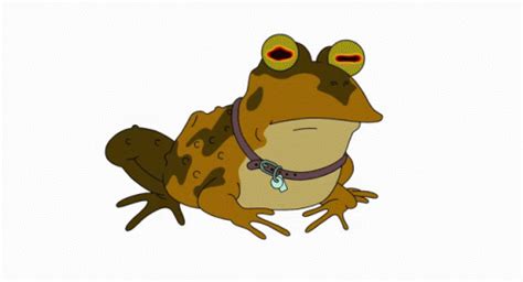 Futurama Hypno Toad  Futurama Hypnotoad Hypnosis Discover