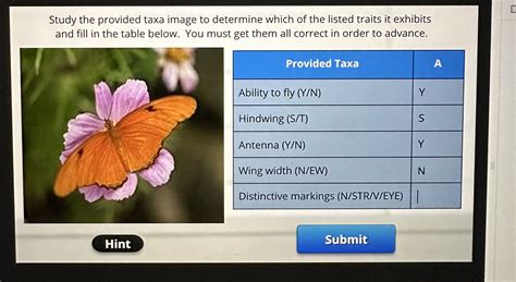 Solved Study The Provided Taxa Image To Determine Which Of Chegg