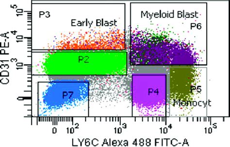 Flow Cytometry Gating Of Mouse Bone Marrow Following Cd31 And Ly 6c