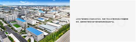 公司优势
