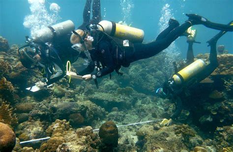 Coral Cay Conservation Expedition Medicine Adventure Medic