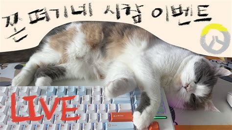 제 1회 술떡 Vs 호떡 부부싸움에 찰떡님들 등 터지기 Feat 오버워치 Youtube