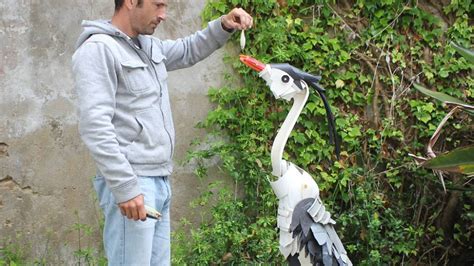 Xico Gaivota Gil