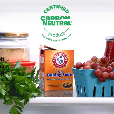 Arm Hammer Pure Baking Soda Sds Shop Prices