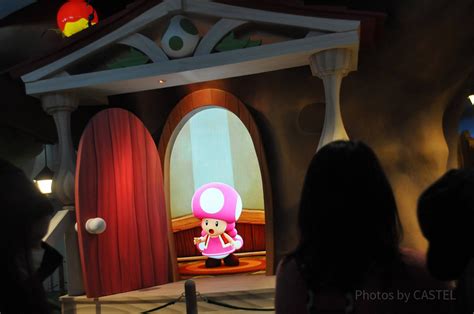 隠れピクミン：ヨッシーアドベンチャー待ち列内 キャステル Castel ディズニー情報