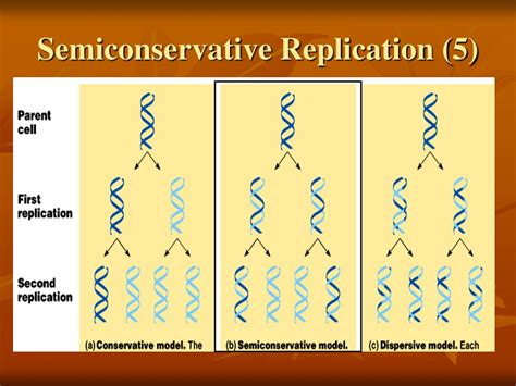Ppt Biology Powerpoint Presentation Free Download Id5431560