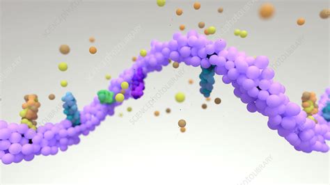 Rna Mutation Conceptual Illustration Stock Image F033 7618