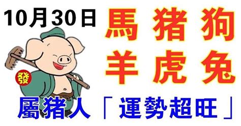 10月30日生肖運勢馬、豬、狗大吉 Peekme