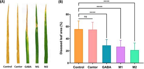 Disease Severity On Wheat Plants Cultivar Alixan Against Zymoseptoria