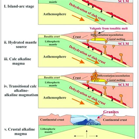 A Proposed Schematic Diagram For The Tectonic Evolution Of Download Scientific Diagram