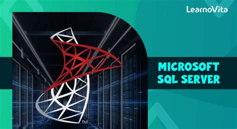 Best Training Institute With Placement Assistance Learnovita