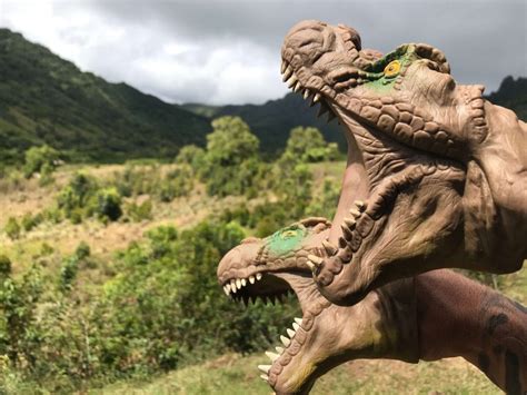 Transfer Tours In Honolulu Halia Tours Your Oahu Private Tours