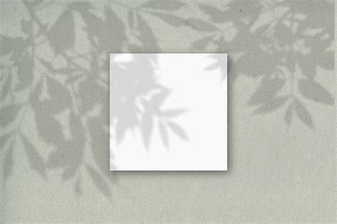 1塊方形的白色紋理紙面無灰綠色的牆壁帶有植物陰影的類比疊加自然光從樹的葉子上投射陰影平面佈局頂視圖向量圖形及更多a4紙圖片 Istock