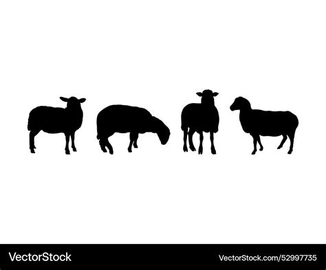 Group Of Sheep Silhouettes Design Royalty Free Vector Image