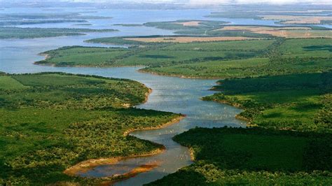 Un Incendio Afectó 600 Hectáreas En Los Esteros Del Iberá Y Creen Que