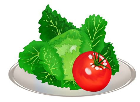 Selada Tomat Salad Gambar Gratis Di Pixabay