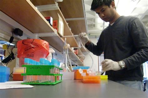 Experience Working On A Shadow Study Payette