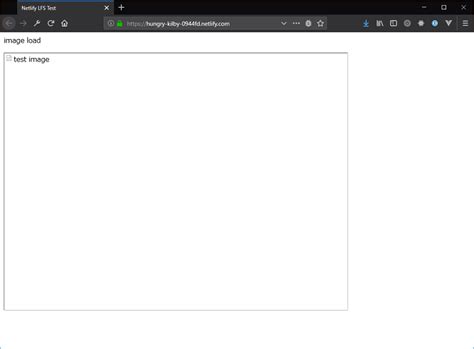 Netlify が Git Lfs にスゴく便利な感じで対応しました！ 自主的20るぅる