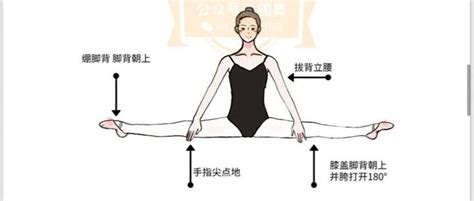 【示范图】中国舞基本功图文解析，舞蹈生收藏！ 知乎