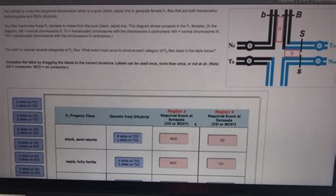 You Decide To Cross The Reciprocal Translocation