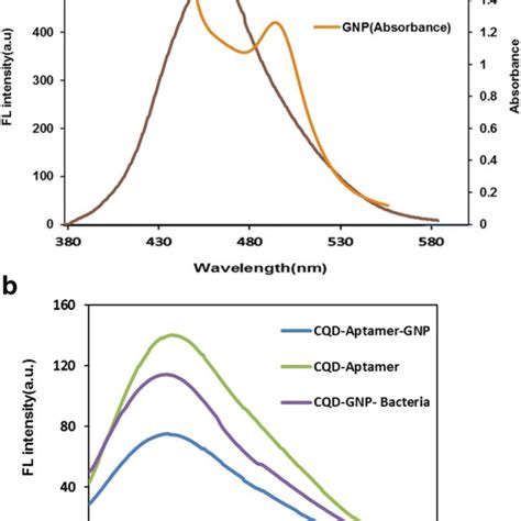 A The Overlap Between Fluorescence Emission Of Cqds And The Absorbance