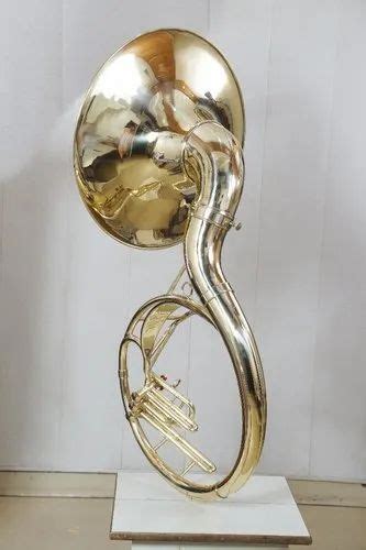 Brass Golden Sousaphone 22 Inch At Rs 29999piece In Meerut Id
