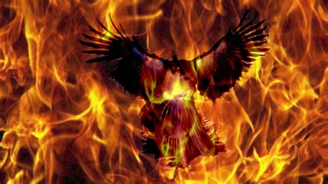 Pheonix By Ovenswind On Deviantart