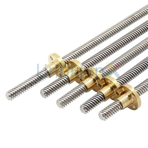 Vít Me Là Gì Khám Phá đặc điểm Cấu Tạo Và Phân Loại