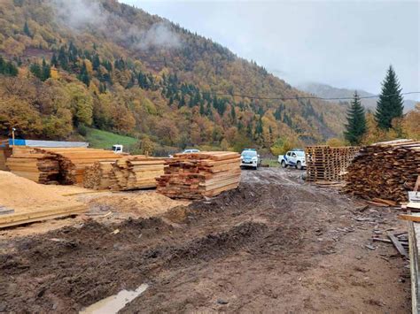 გარემოსდაცვითი ზედამხედველობის დეპარტამენტის თანამშრომლებმა ლენტეხში უკანონო ტყითსარგებლობის