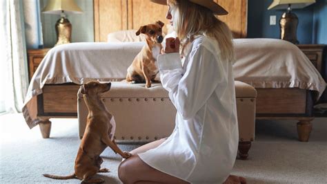 Understanding Dog Behavior Getting To Know Your Dog Advice For Dogs