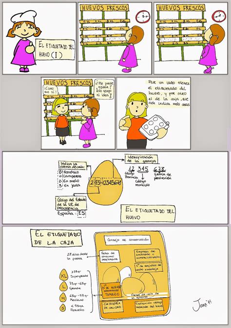 Truco Para Identificar El Etiquetado De Los Huevos