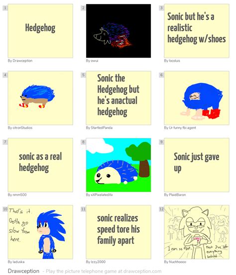 Hedgehog Drawception