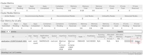 Hadoop之webui界面功能介绍及日志配置查看hadoop Web界面 Csdn博客