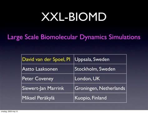 Large Scale Biomolecular Dynamics Simulations Prace