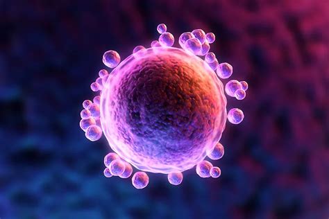 The Lack Of Comprehensive Sex Education In Mexico Tecscience