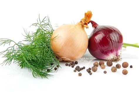 양파형 붉은 양파 딜 단고추 올스파이스 흰색 바탕에 2015년에 대한 스톡 사진 및 기타 이미지 2015년 건강관리와 의술 건강한 식생활 Istock