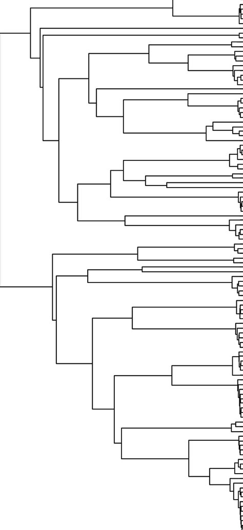 dendrogram derived from similarity matrices based on msp from reference