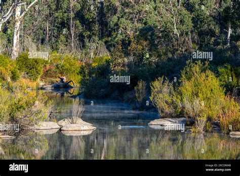 Platypus Pool At Cypress Pine Camping Area Boonoo Boonoo National Park