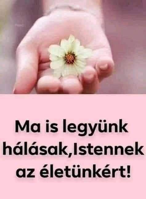 Pin di Horváth Zsuzsanna su Szép napot
