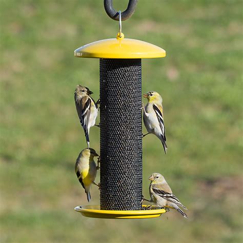 No No Bird Feeder