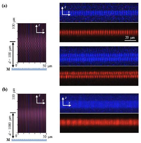 Correlation Between Nonlinear Microscopy Of The Smf 28 Fiber Core