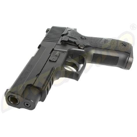 P226 Rail
