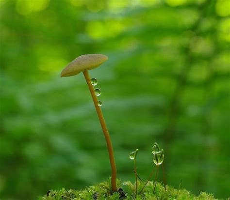 如何建立良好的師生關係 每日頭條