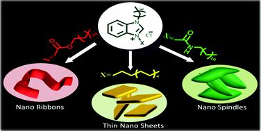 Unprecedented Self Assembled Architectures Of Surface Active Ionic