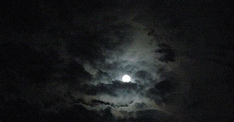 Ad Blankestijn Basho A Bashful Moon Complete Haiku 4 1667