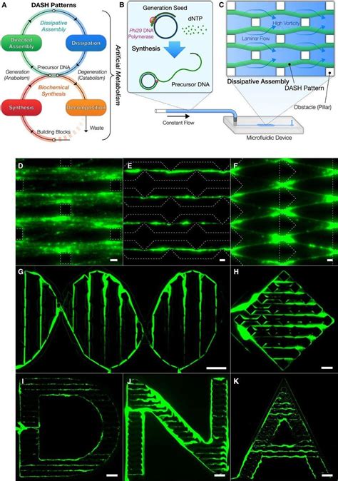 Dynamic Dna Material With Emergent Locomotion Behavior Powered By Artificial Metabolism