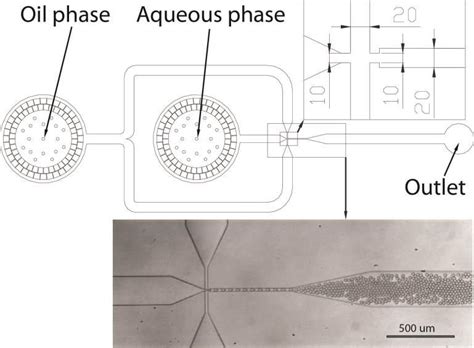 Microfluidic Device For 05 4 Pl Sized Droplet Generation Depth M The