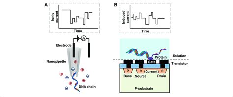 The Schematics Of The Dna Detection Based On A A Nanopipette And